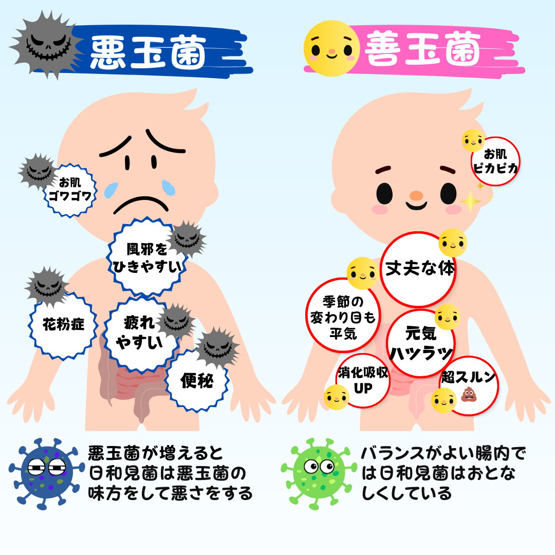 Lacto ＆ Enzyme ラクトエンザイム – あいショップ